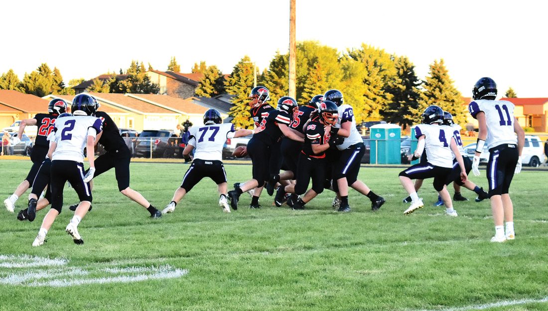 Panthers stung at home by Hornets | News, Sports, Jobs - The Pierce ...